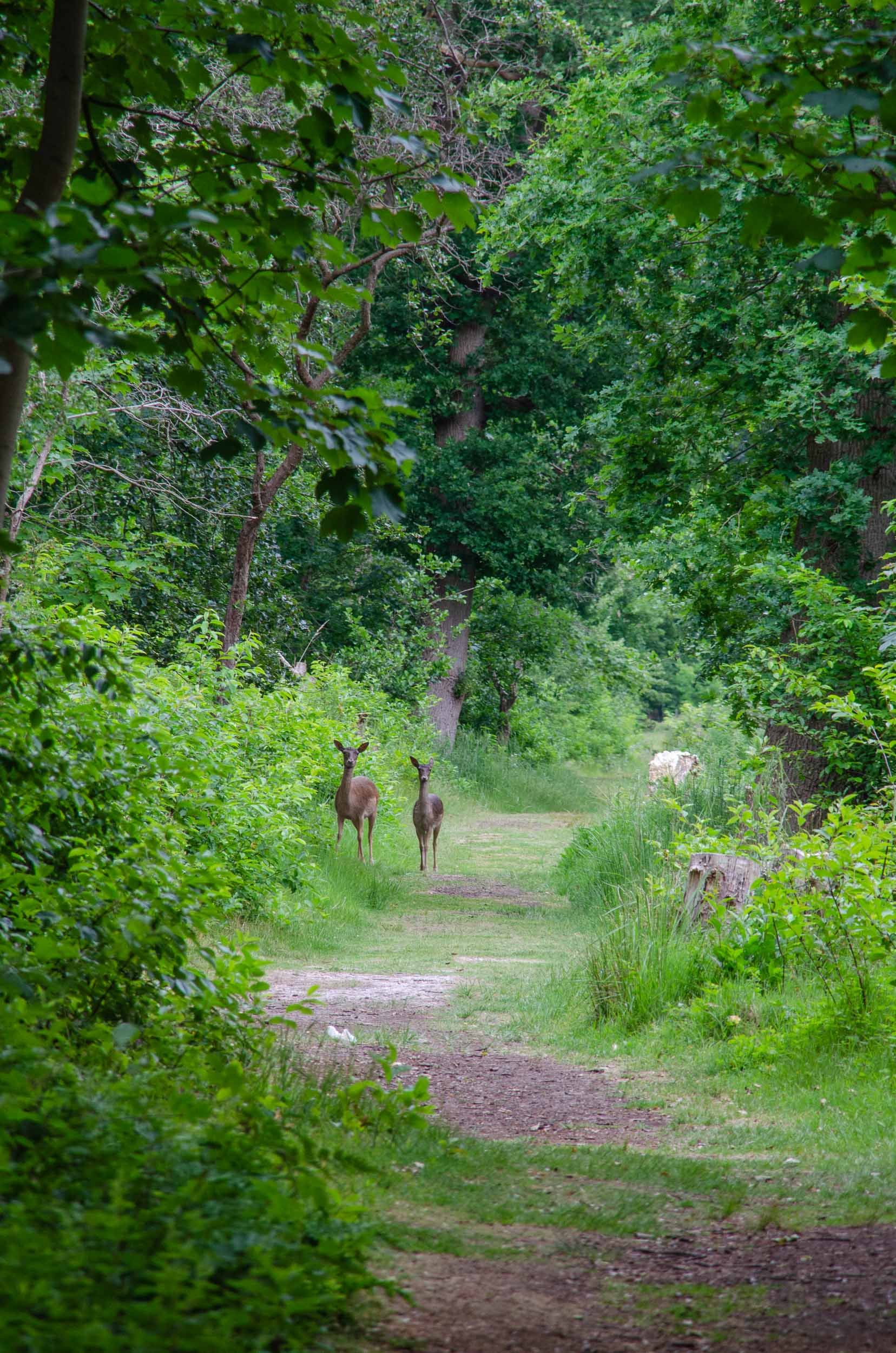 Wat te doen op Walcheren in Zeeland - Your Travel Guide
