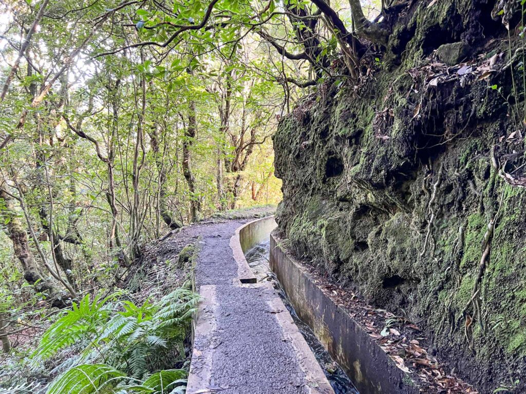 Tips voor een reis naar Madeira- Your Travel Guide
